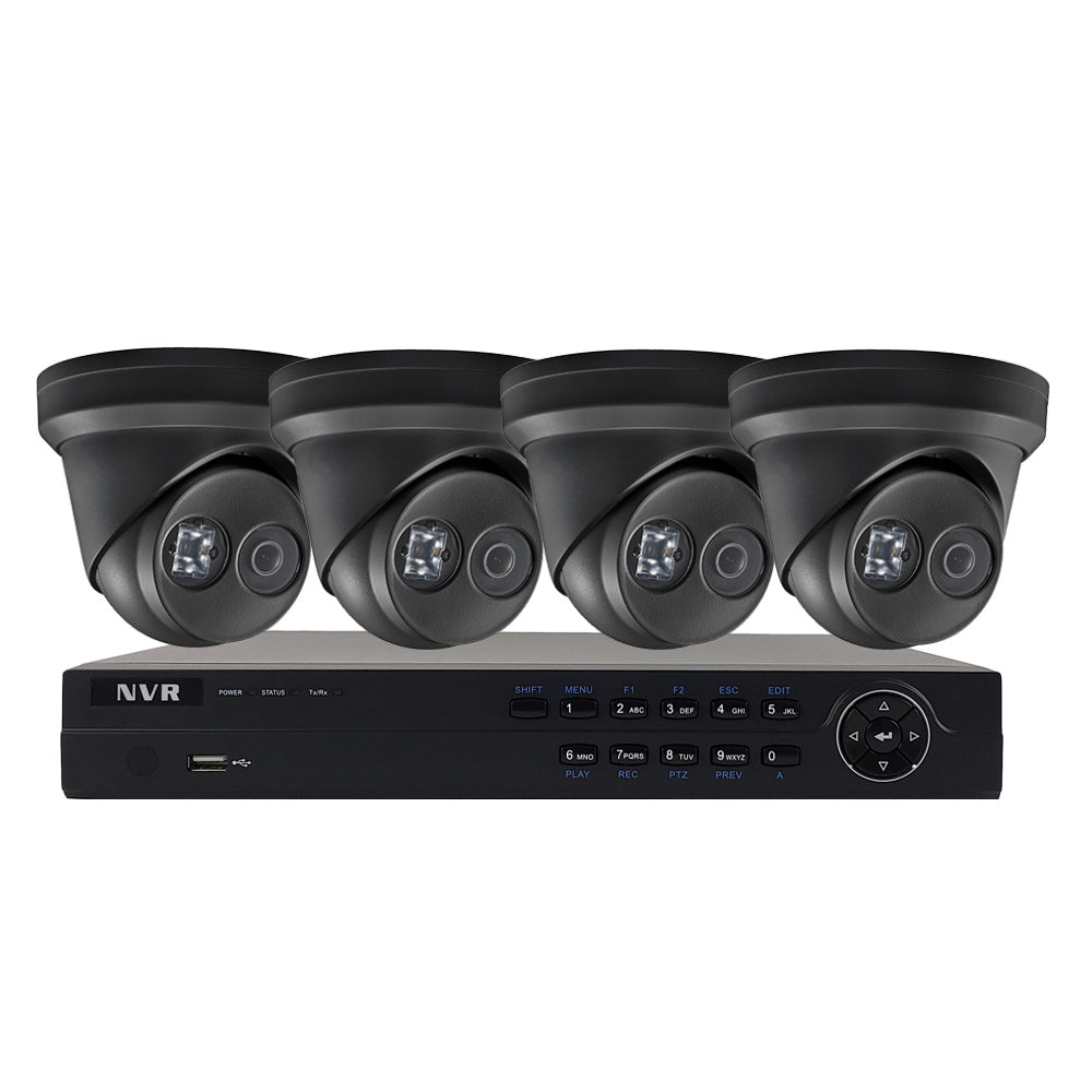 4-Channel IP NVR with 4K Resolution, Integrated PoE Ports, 2TB Purple